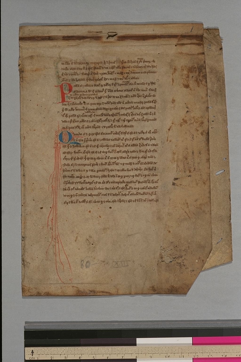 The Culture of the Manuscript and Manuscript Culture: A Case Study ...